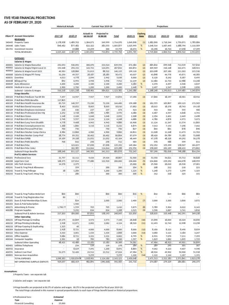 Multi-Year Projections Sample | PDF | Renting | Salary