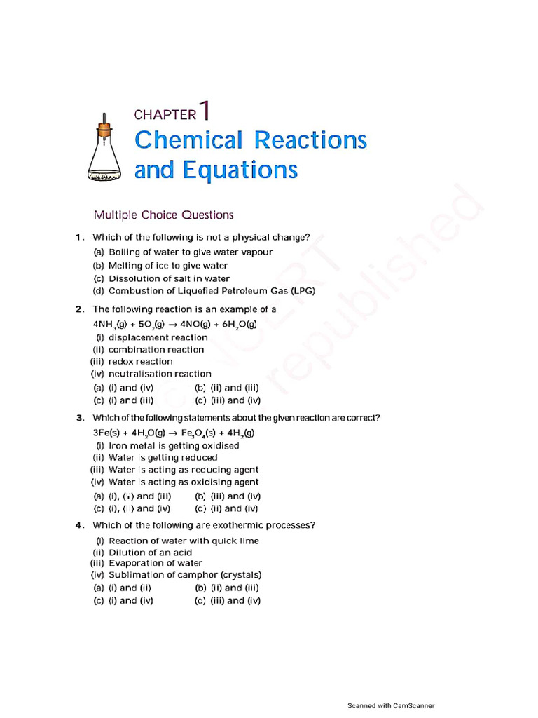 Chemical Reactions and Equations - Assignment 1 | PDF