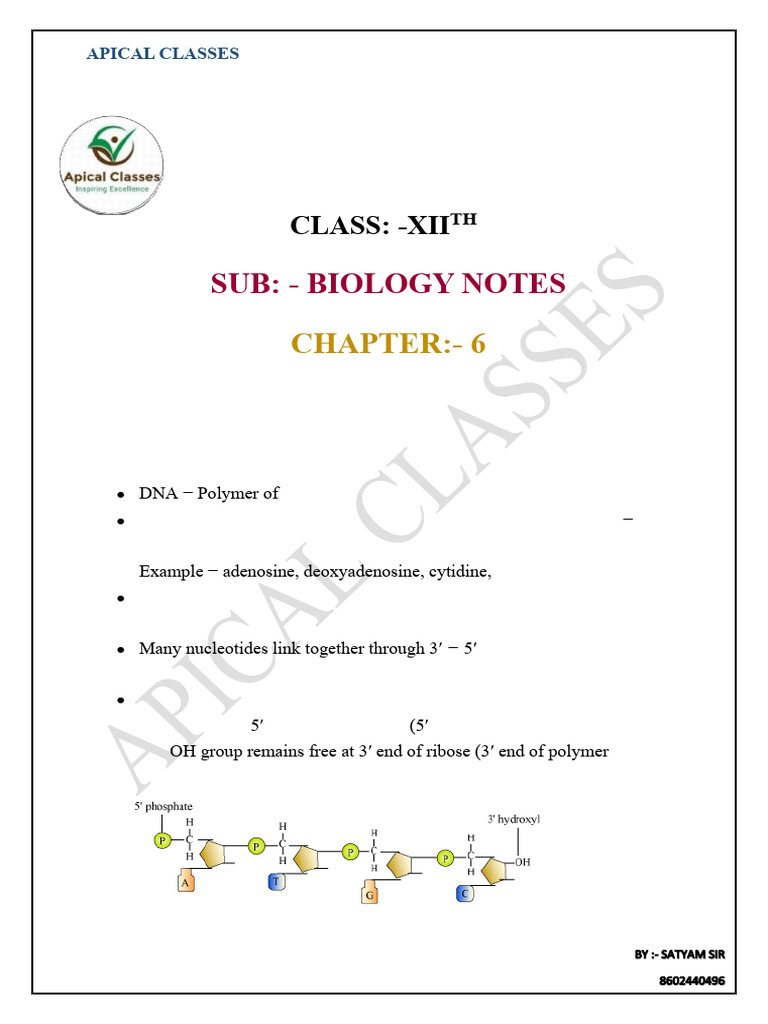 CLASS 12TH Biology Chapter 6 | PDF | Operon | Translation (Biology)