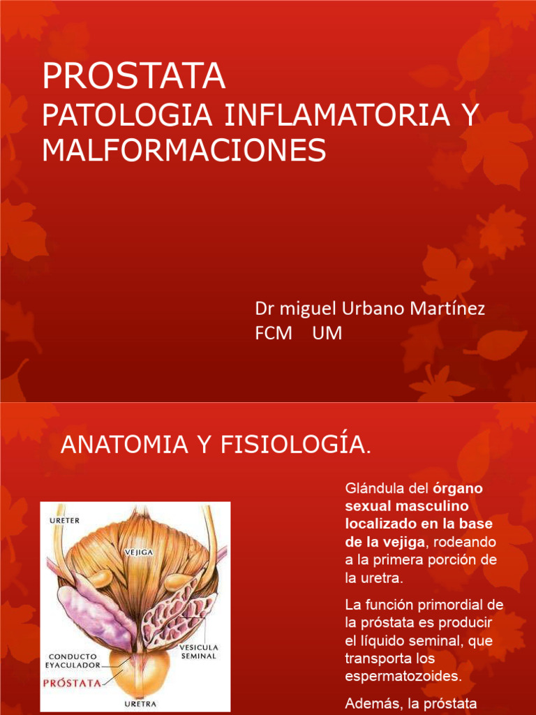 Patologías de la Próstata y Evaluación | PDF | Próstata | Medicina CLINICA