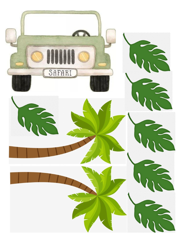 Safari | PDF