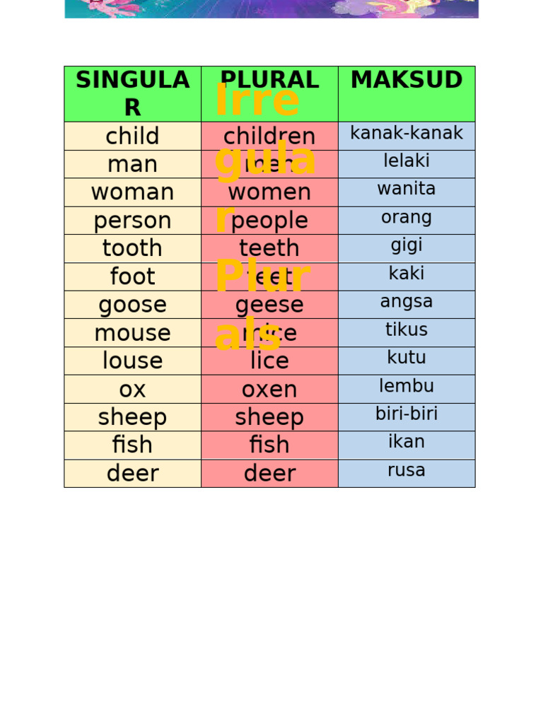 Irregular Plurals | PDF