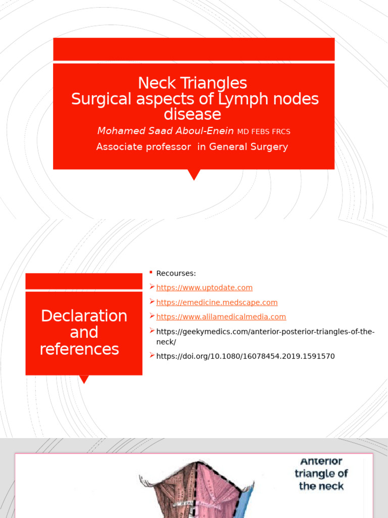 Surgical Insights on Neck Triangles and Lymph Nodes | PDF | Neck ...