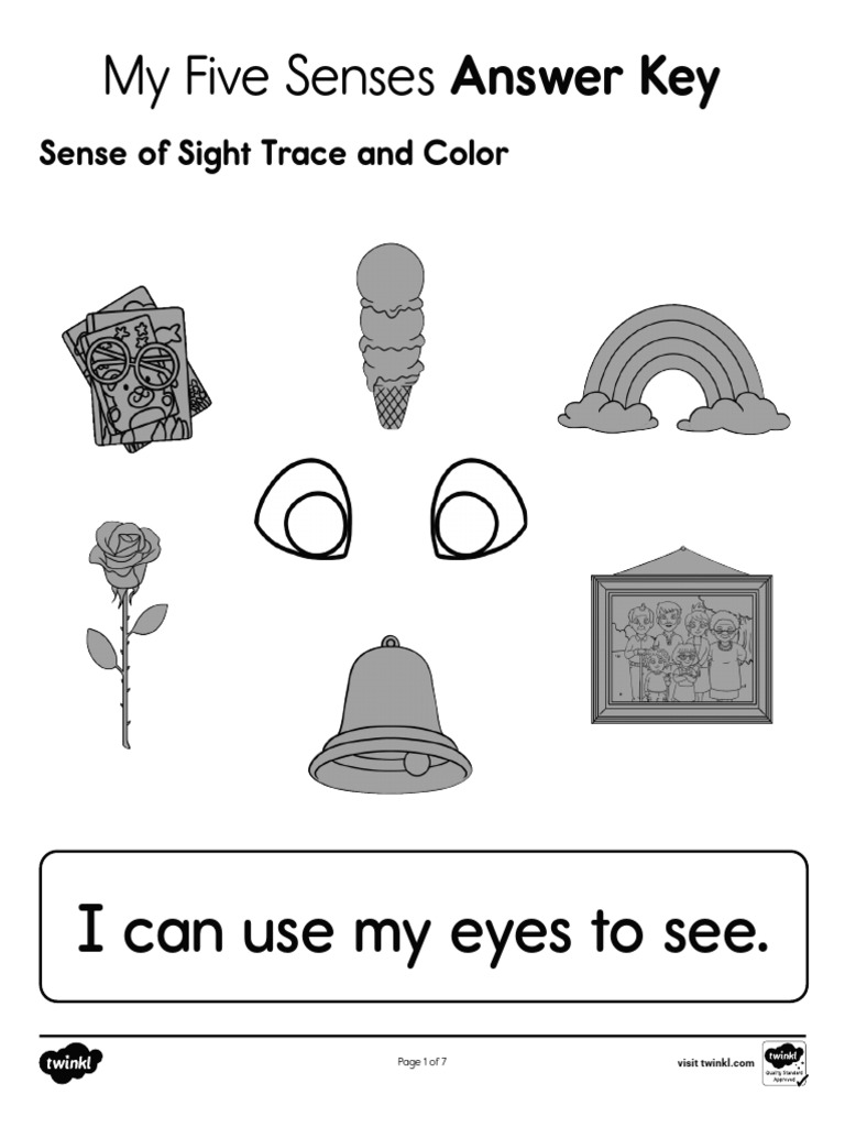 Answer Key My Five Senses Activity Booklet | PDF