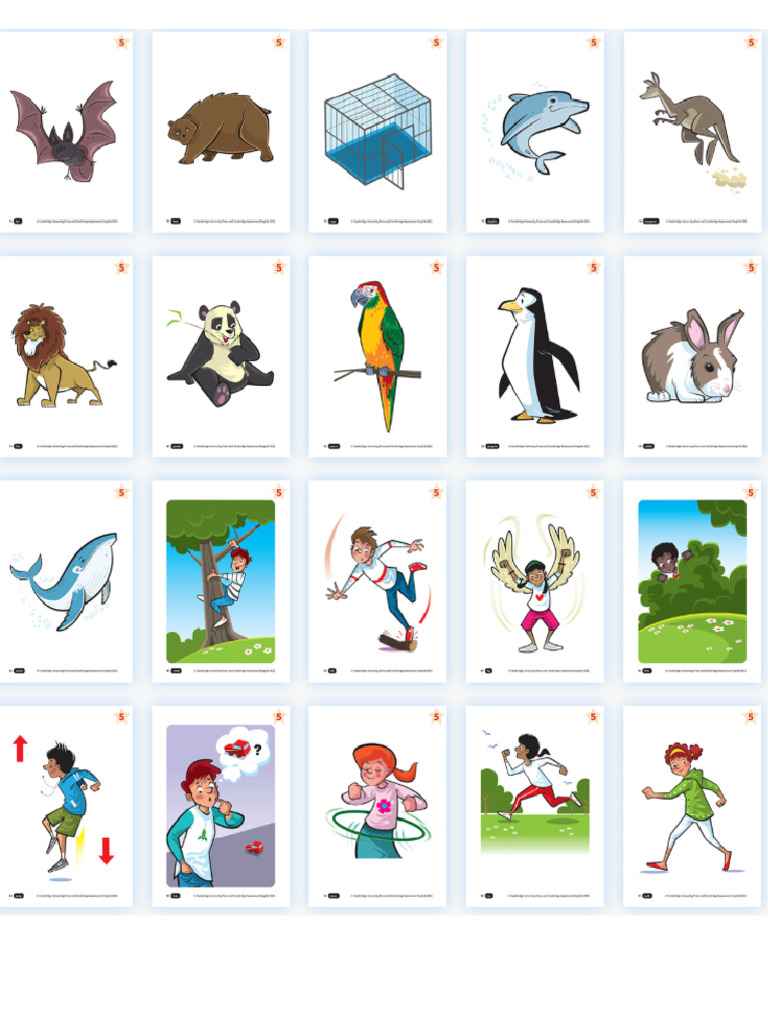 Flashcards U5 G2 | PDF