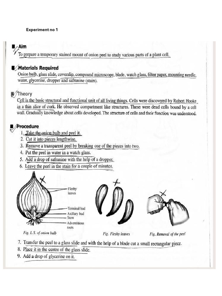 Experiment No 1 | PDF