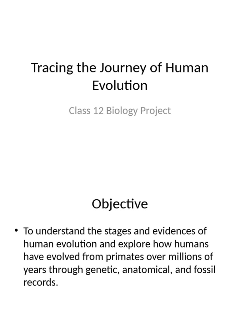 Human Evolution Project Class 12 | PDF