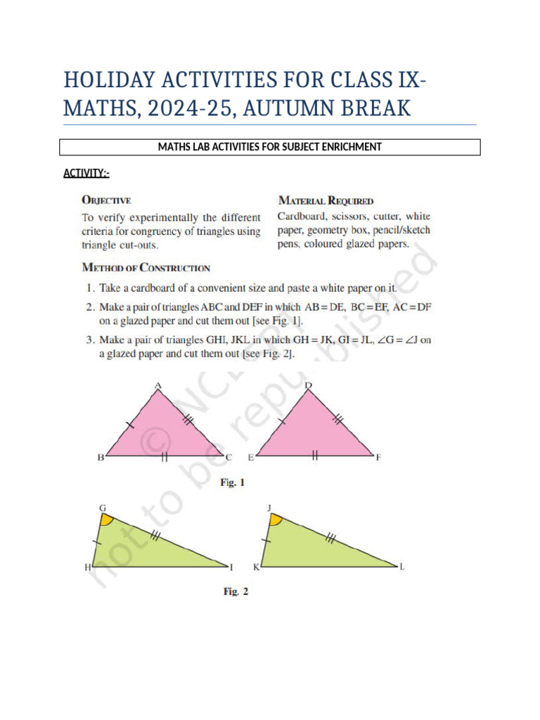 Holiday Activities For Class Ix | PDF