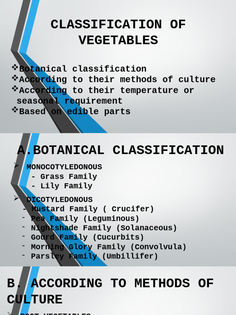 Classification of Vegetables | PDF