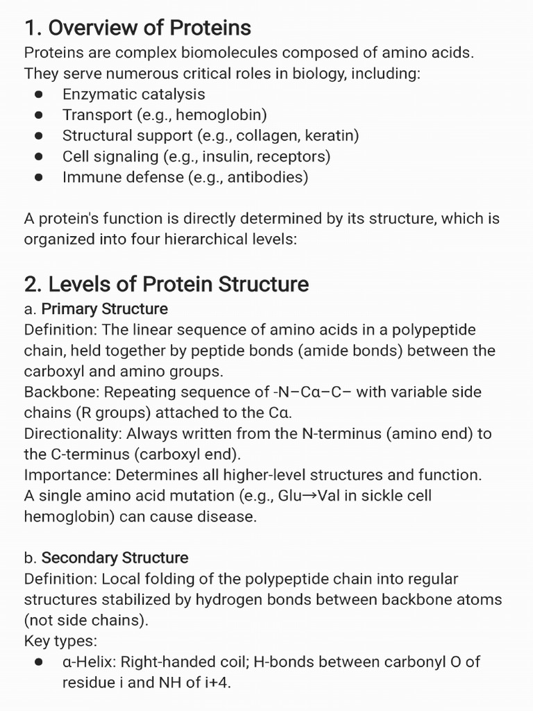 Proteins | PDF