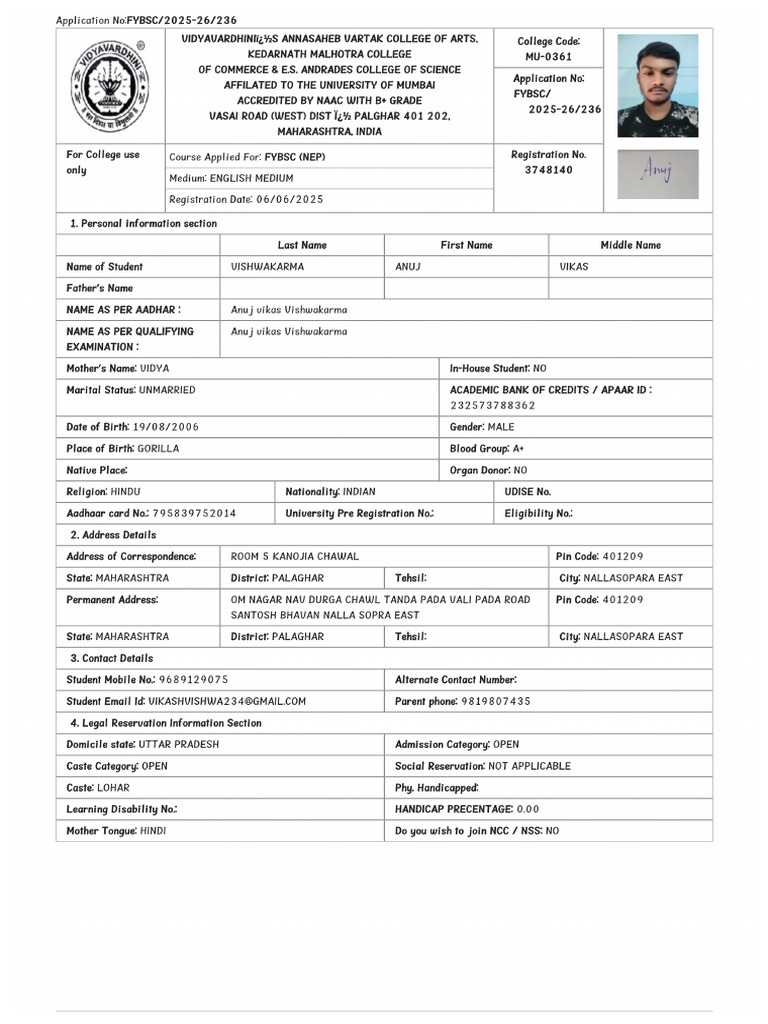Application Report | PDF