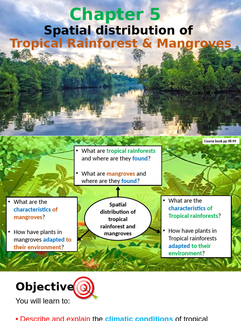 Sec 1 Chap 6 TRF & Mangrove | PDF | Mangrove | Rainforest