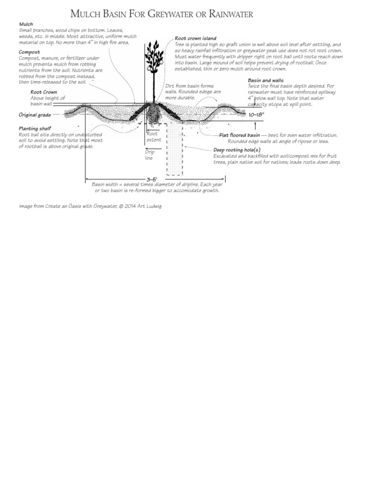 MulchBasinGW DesignOasis | PDF | Mulch | Soil
