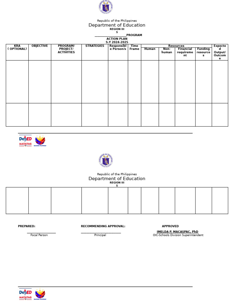 CID Template Action Plan | PDF