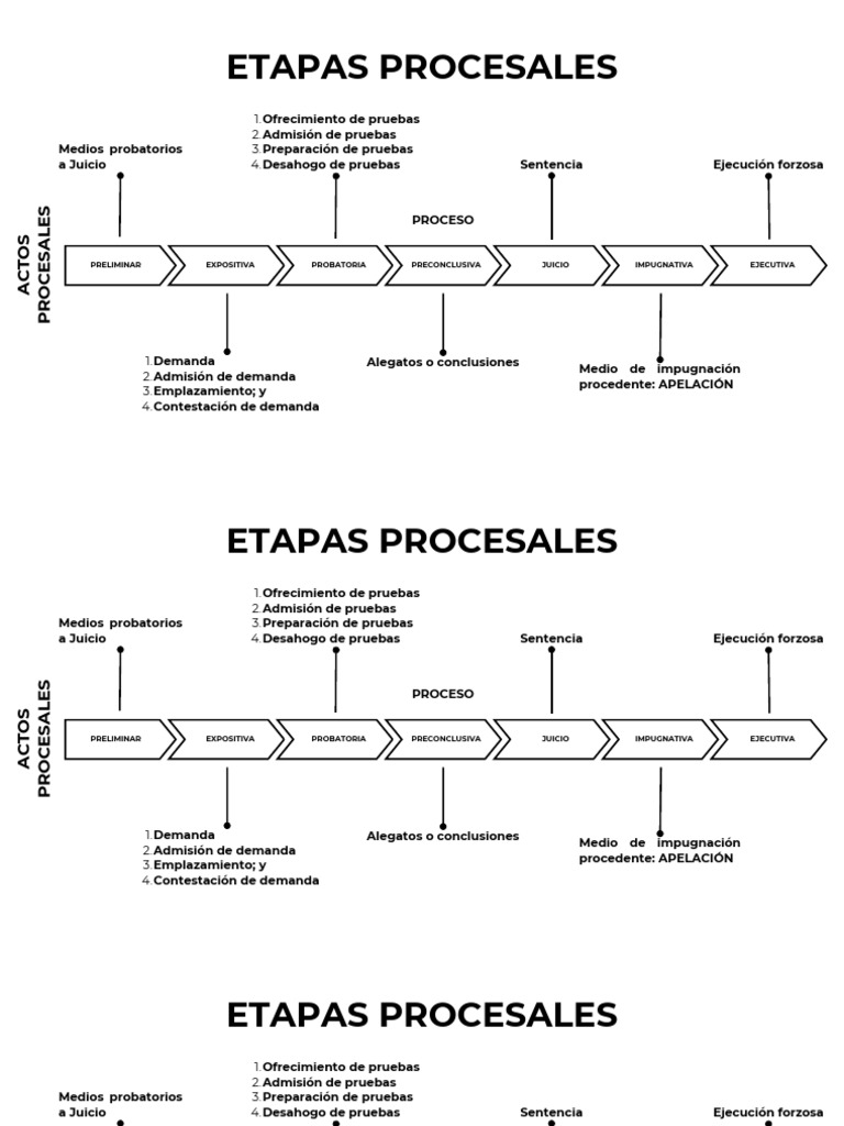 Etapas Procesales Derecho Civil | PDF | Apelación | Judicaturas