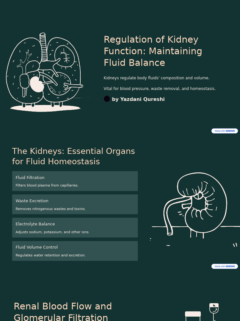 Regulation of Kidney Function Maintaining Fluid Balance | PDF | Kidney ...