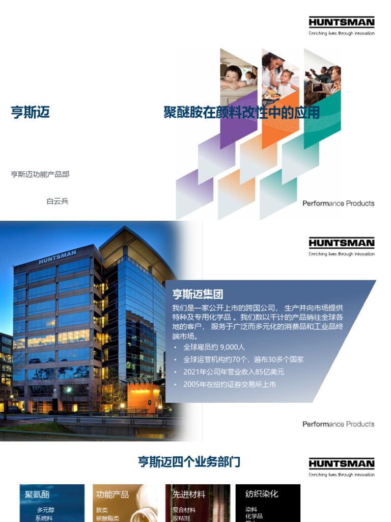 Introduction of Pigment Modification India CN 2023.4 | PDF