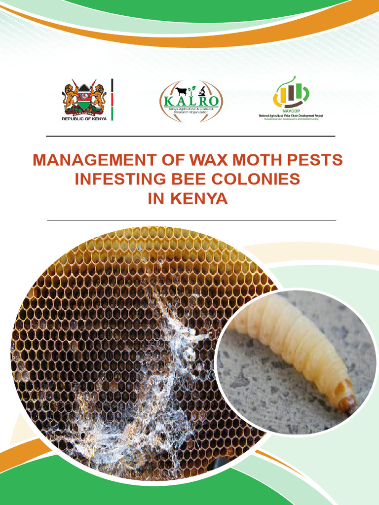 Management of Wax Moth Pests Infesting Bee Colonies in Kenya | PDF | Beehive | Bees