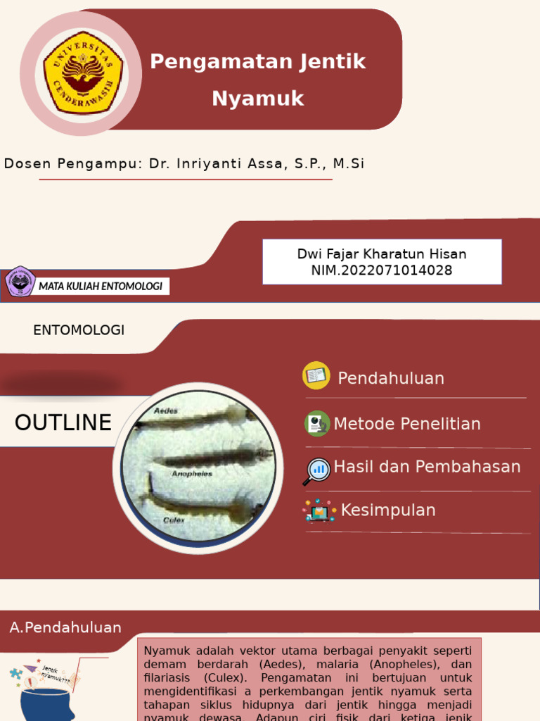 Dwi Fajar Khairatun Hisan - PPT Pengamatan Nyamuk 2 | PDF