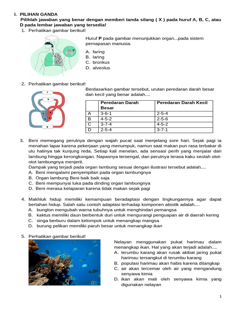 Soal Assesmen Sekolah Ipas Fix | PDF