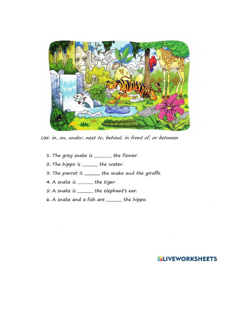 Homework 4th Grade-1 | PDF