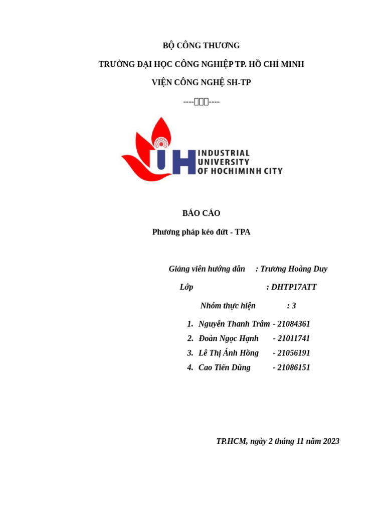 Tpa 2.1 | PDF