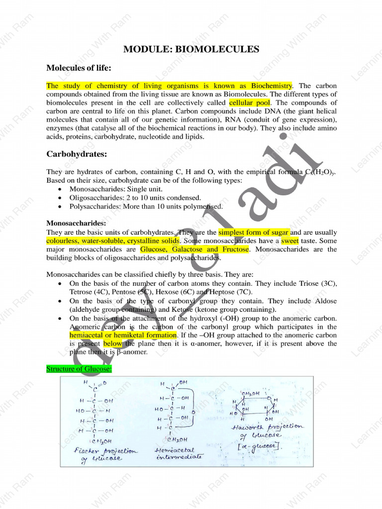 Wa0005 | PDF