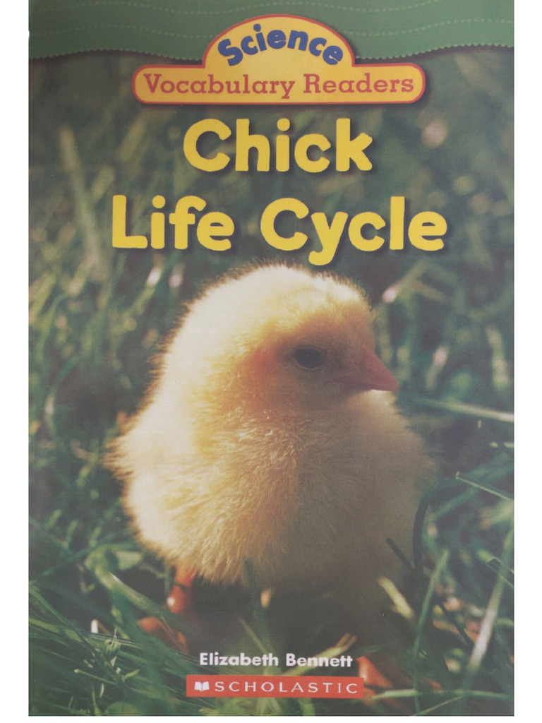 SVR - Chicks Life Cycle | PDF