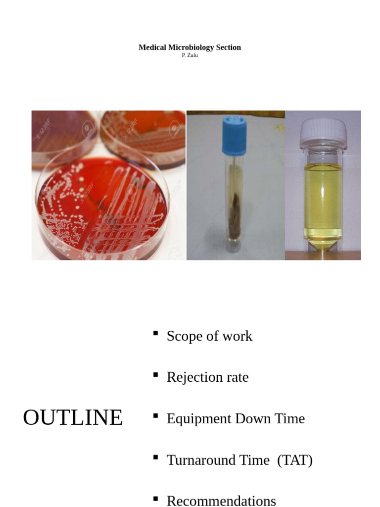 Microbiology Section-Mrm | PDF | Medical Specialties | Clinical Medicine