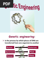 Genetic Engineering Gr11 | PDF | Genetic Engineering | Gene