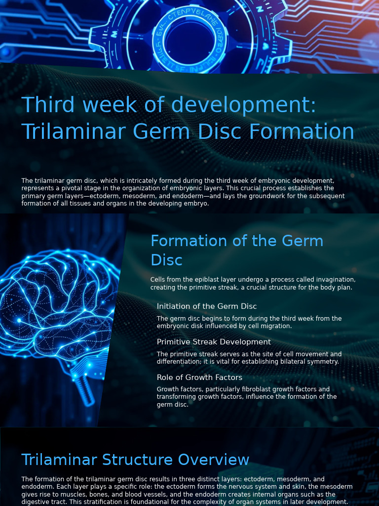 Trilaminar Germ Disc Development | PDF | Embryo | Biological Processes