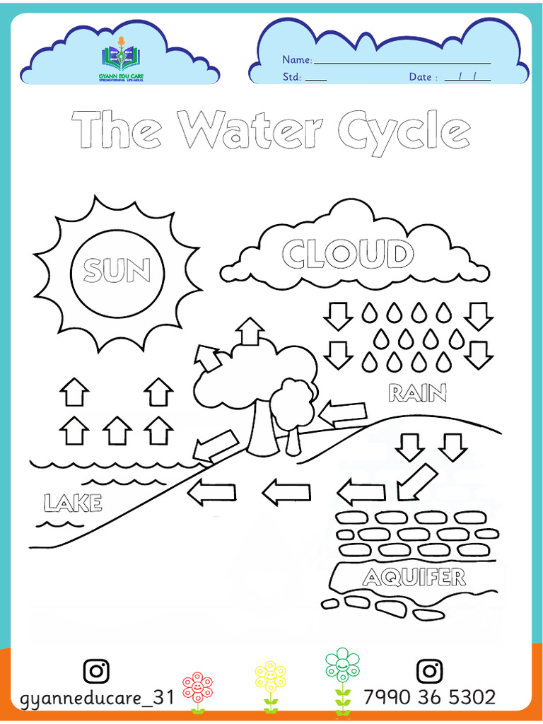 Water Cycle | PDF