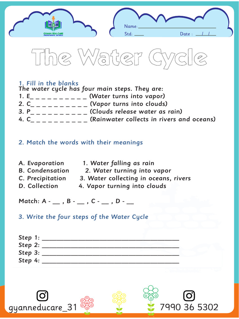 Water Cycle Worksheet | PDF