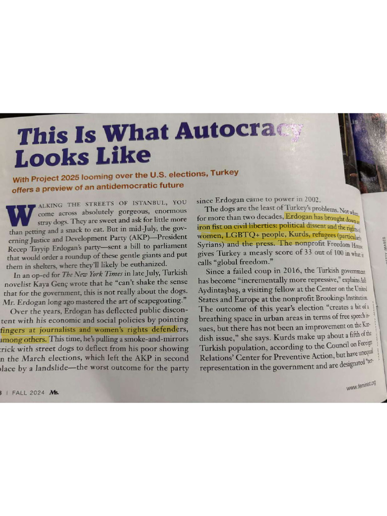 Article - This Is How Autocracy Looks Like - Commentary 2 | PDF