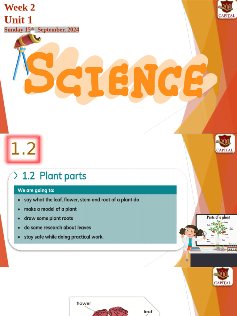 Week 2 Science | PDF