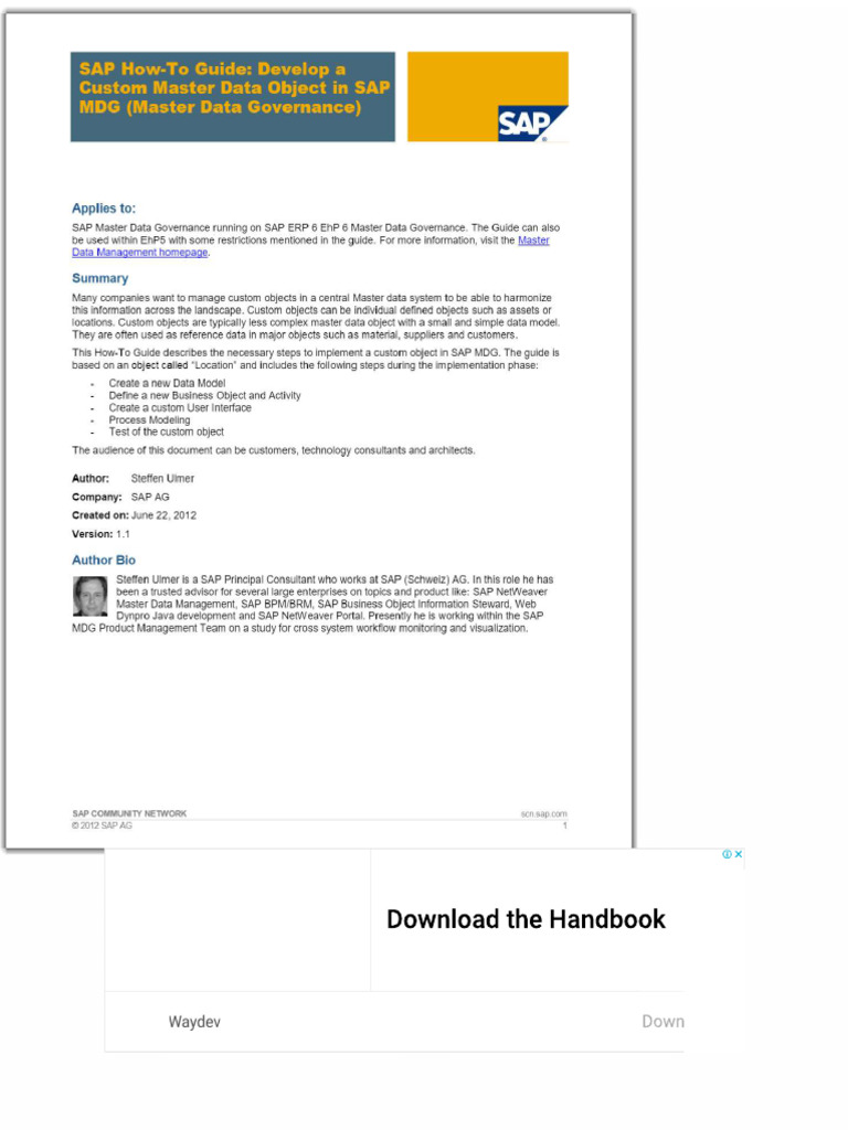 MDG Custom Model | PDF