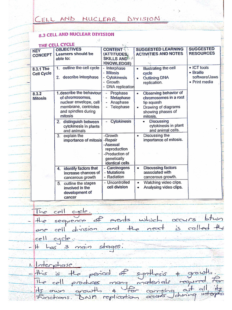 Cell and Nuclear Division Notes 6030 | PDF