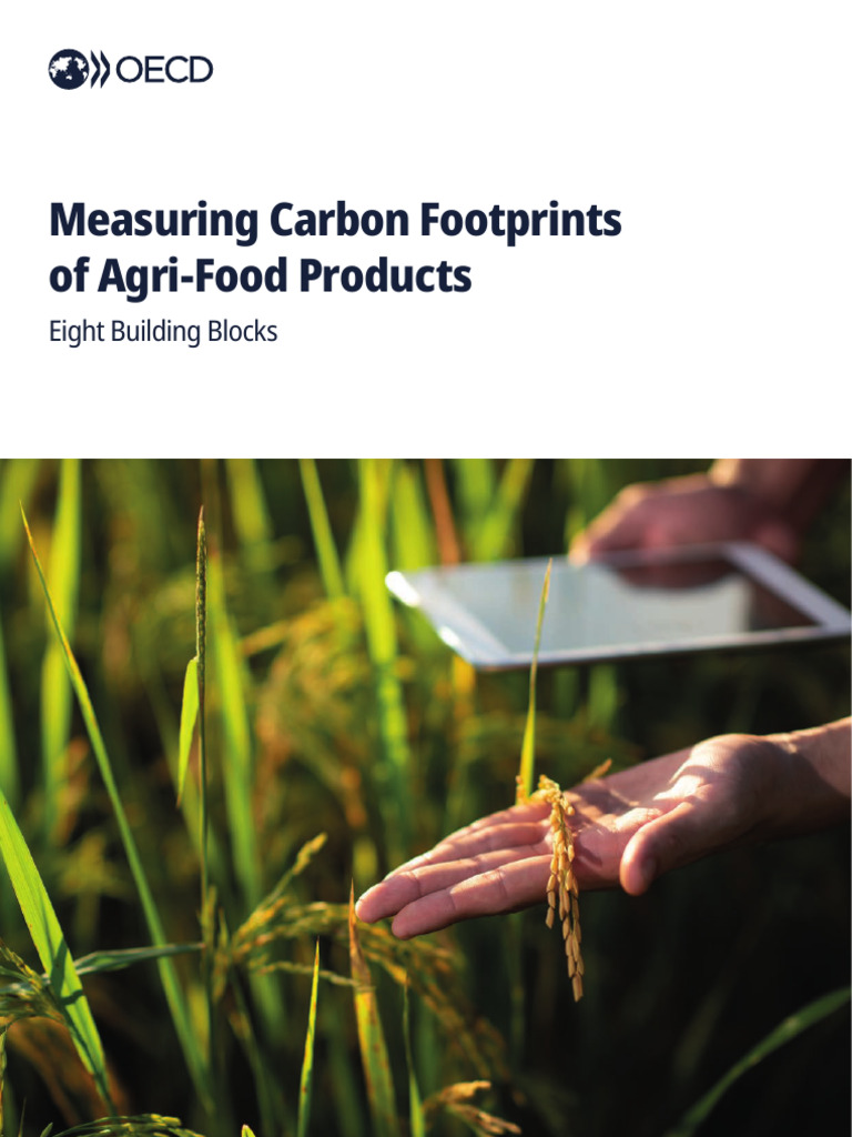 Carbon Footprint Metrics for Agri-Food | PDF | Carbon Footprint | Life ...