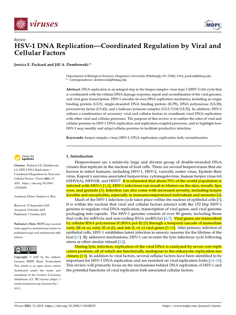 HSV-1 DNA Replication Mechanisms Explained | PDF | Dna Replication | Virus
