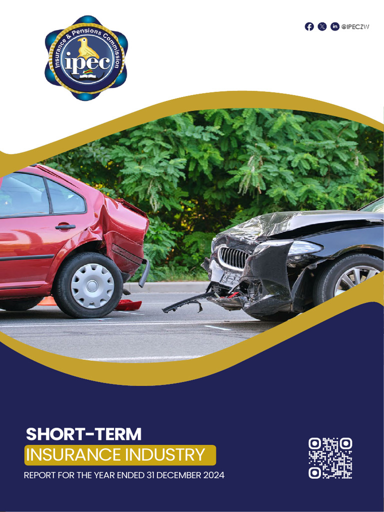 2024 q4 Short-Term Insurance Industry Report | PDF | Insurance ...