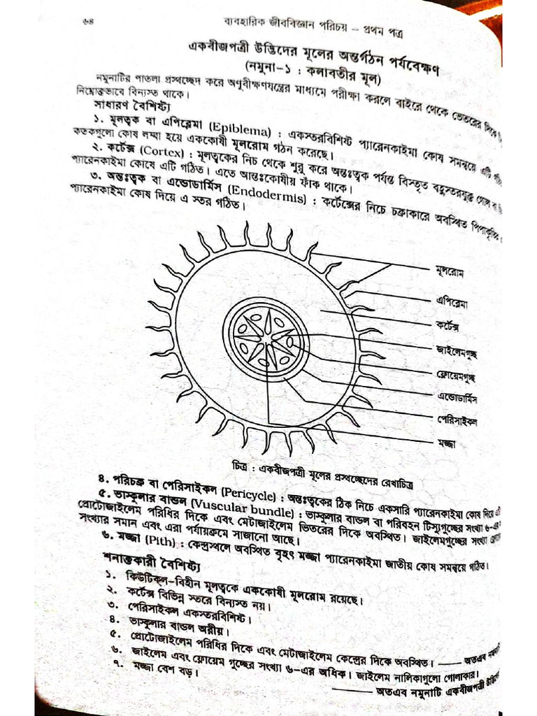 Biology Second Part Practical | PDF