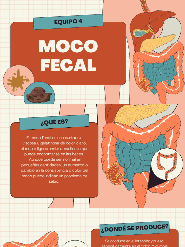 Moco Fecal: Composición y Función | PDF | Moco | Heces