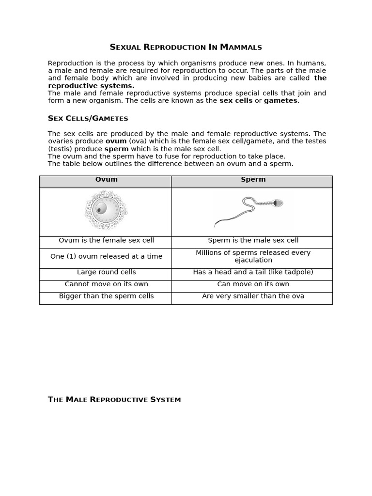 Understanding Human Sexual Reproduction | PDF | Reproductive System ...