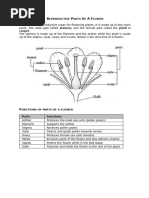 Grade 7 Flower Parts Worksheet | PDF