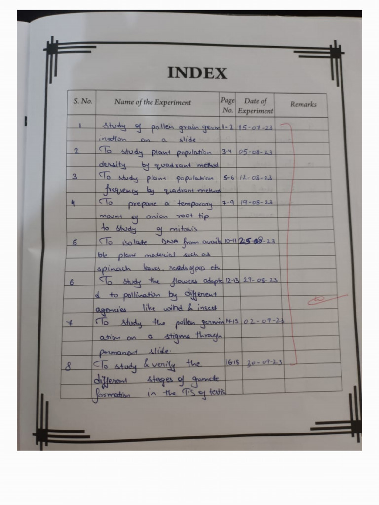 XII Practical File | PDF