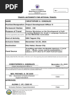 Certificate of Travel Completed Template | PDF