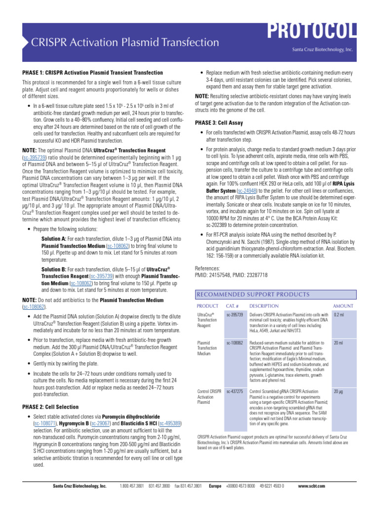 CRISPR Activation Protocol | PDF | Transfection | Plasmid