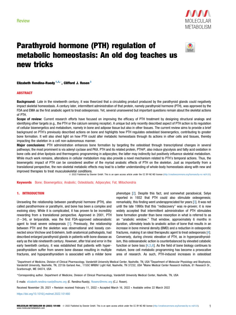 Parathyroid Hormone PTH Regulation of Metabolic Ho | PDF | Osteoblast | Bone