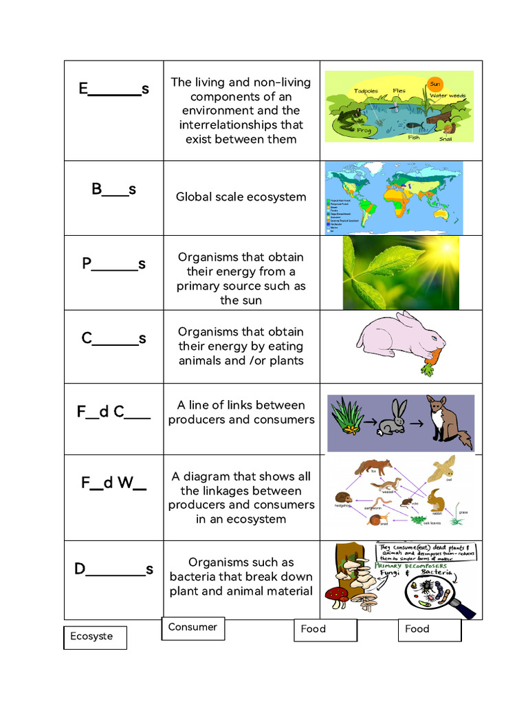 Ecosystems F2 | PDF