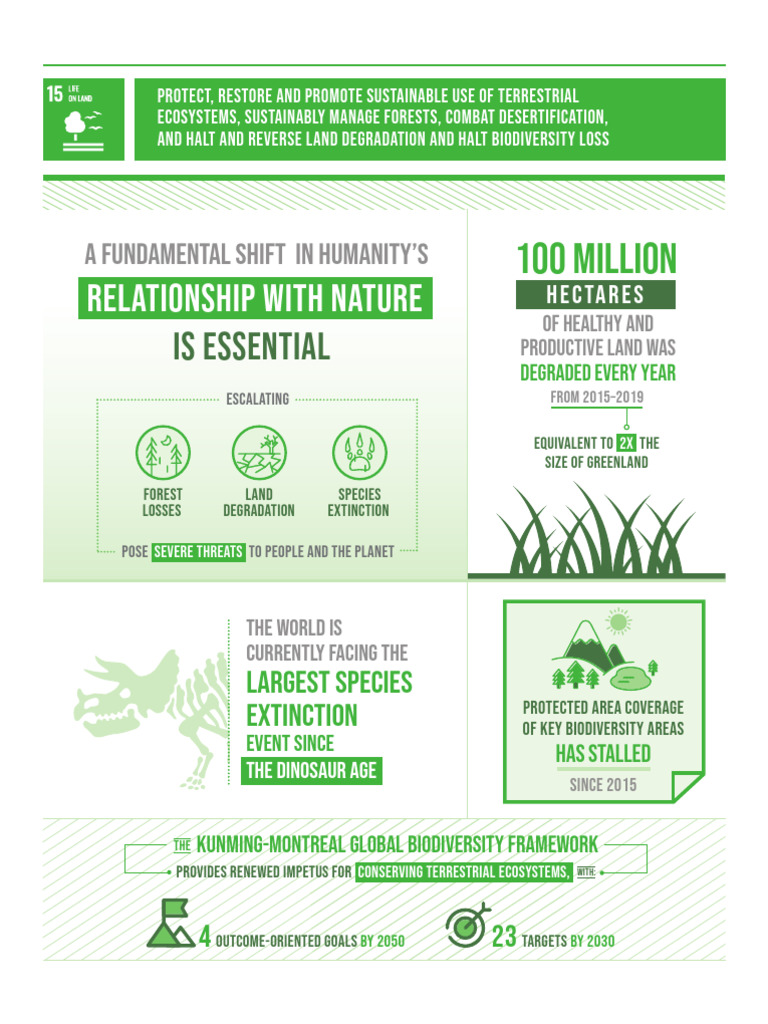 E SDG 2023 Infographics-15-15 | PDF